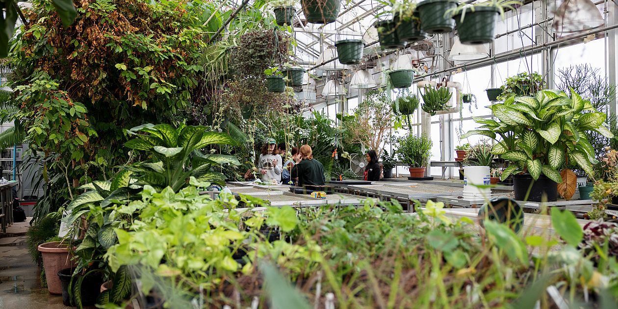 Campus greenhouse a hidden gem - IU Today